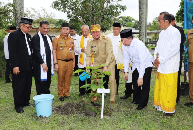 Gubernur Muhidin Pimpin Gerakan Penanaman Pohon Matoa - jejakrekam.com